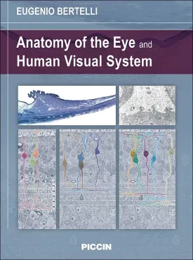 Anatomy of the Eye and Human Visual System - Eugenio Bertelli | PICCIN ...