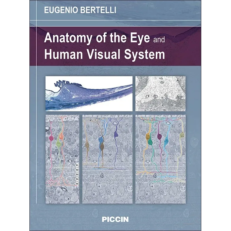 Anatomy of the Eye and Human Visual System - Eugenio Bertelli | PICCIN Nuova Libraria S.P.A.