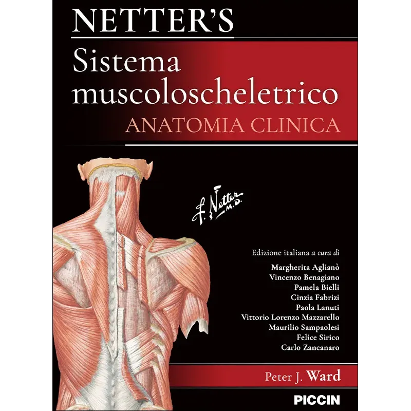 Netter’s Sistema muscoloscheletrico. Anatomia clinica - Peter J. Ward ...